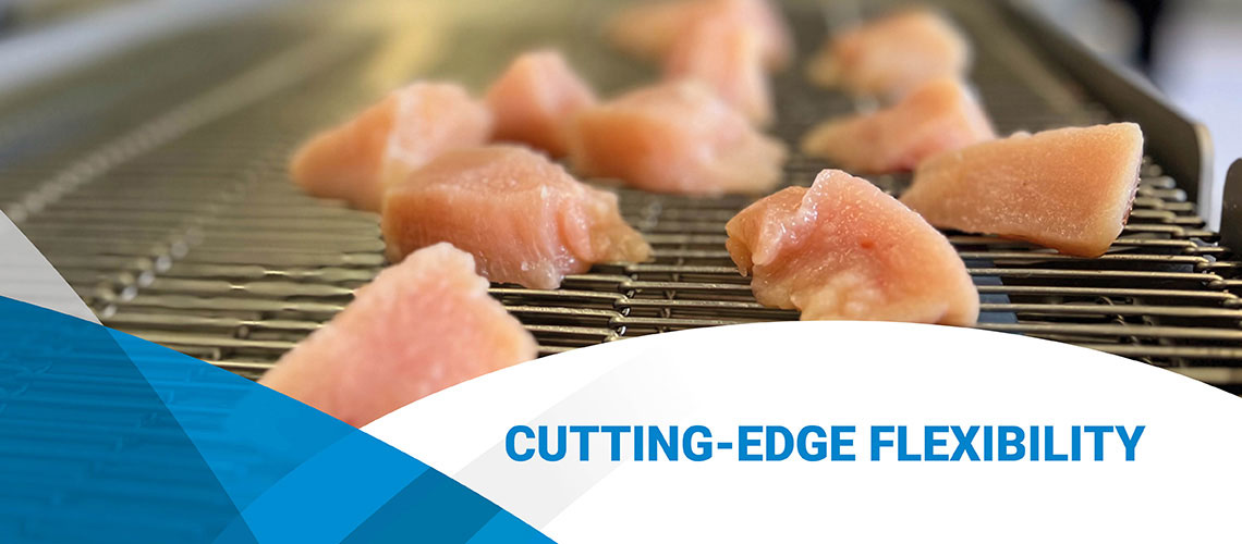 Discover the Pattern of Successful Portioning - DSI Portioner- JBT