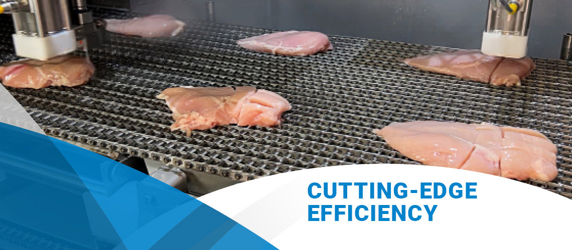 Fuel your portioning with jet power - DSI Waterjet Portioner- JBT